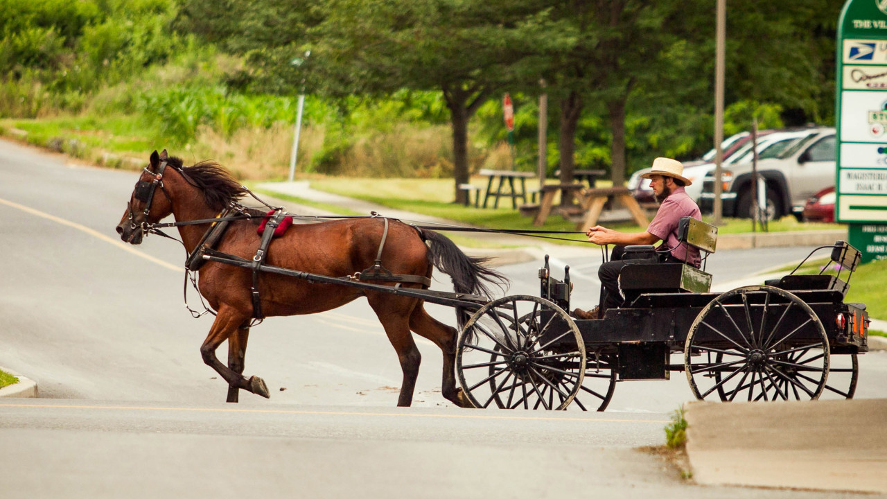 Amish, Quakers in Dutch Country PA - Le Beau Reizen