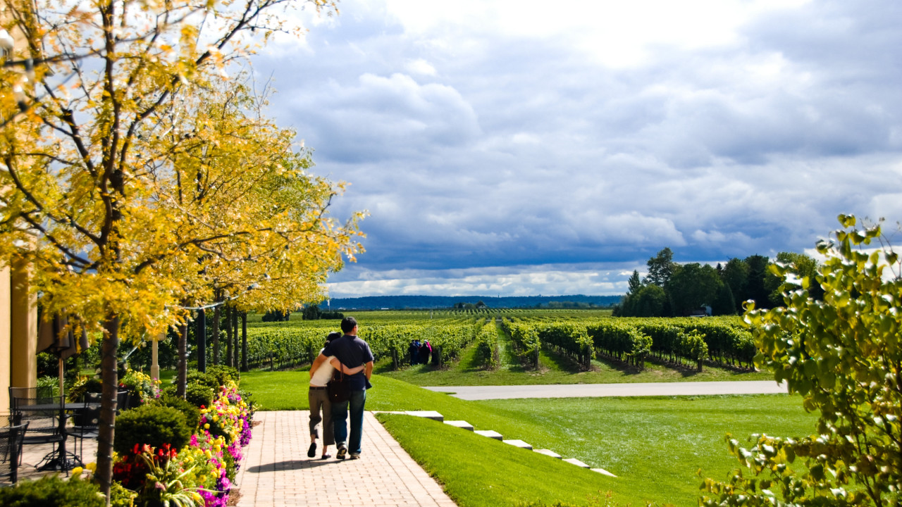 To Wine or Not To Wine in California - Le Beau Reizen